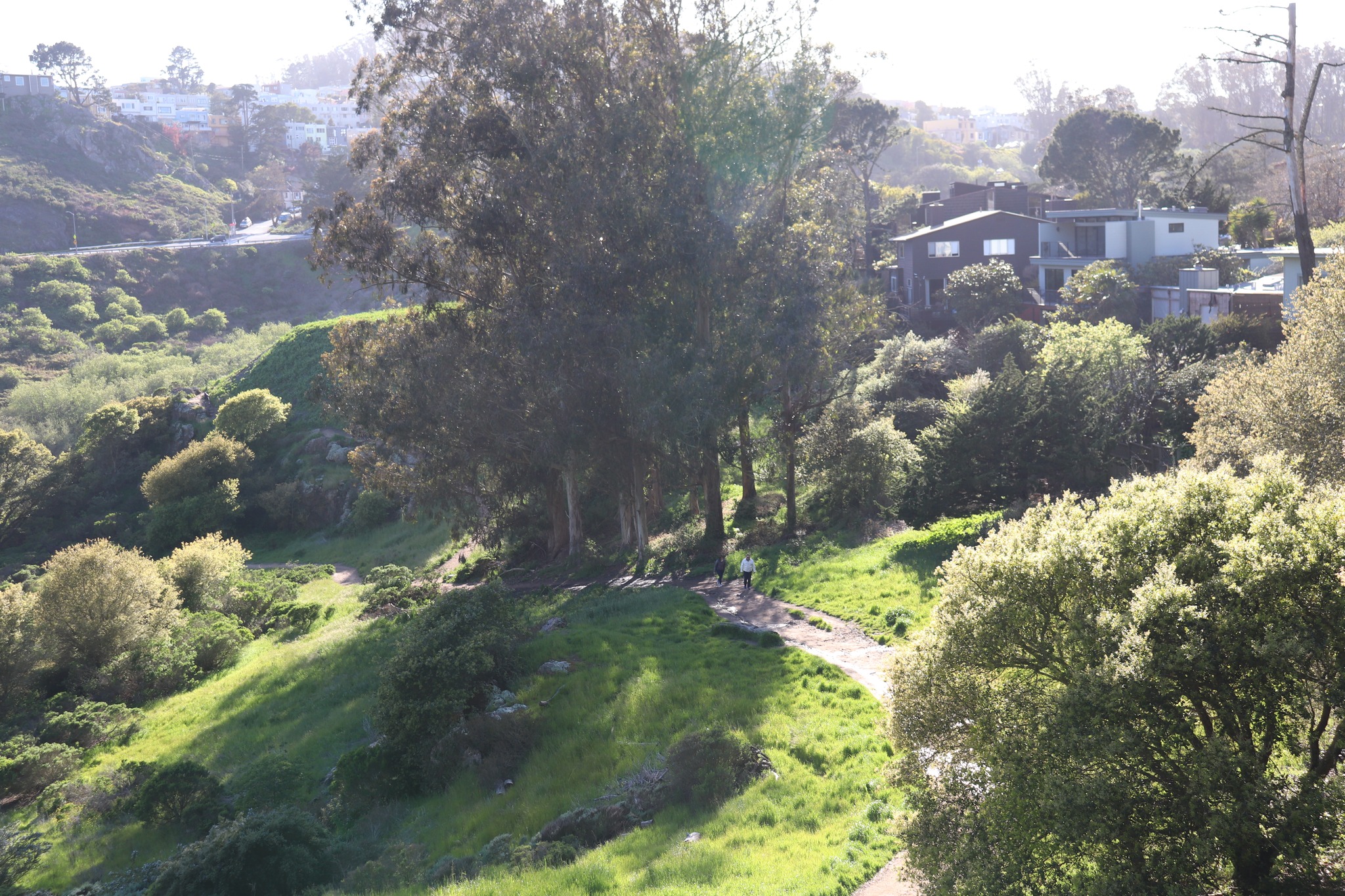 Glen Canyon Park pathway in San Francisco, April 2023 – Zonta Photos