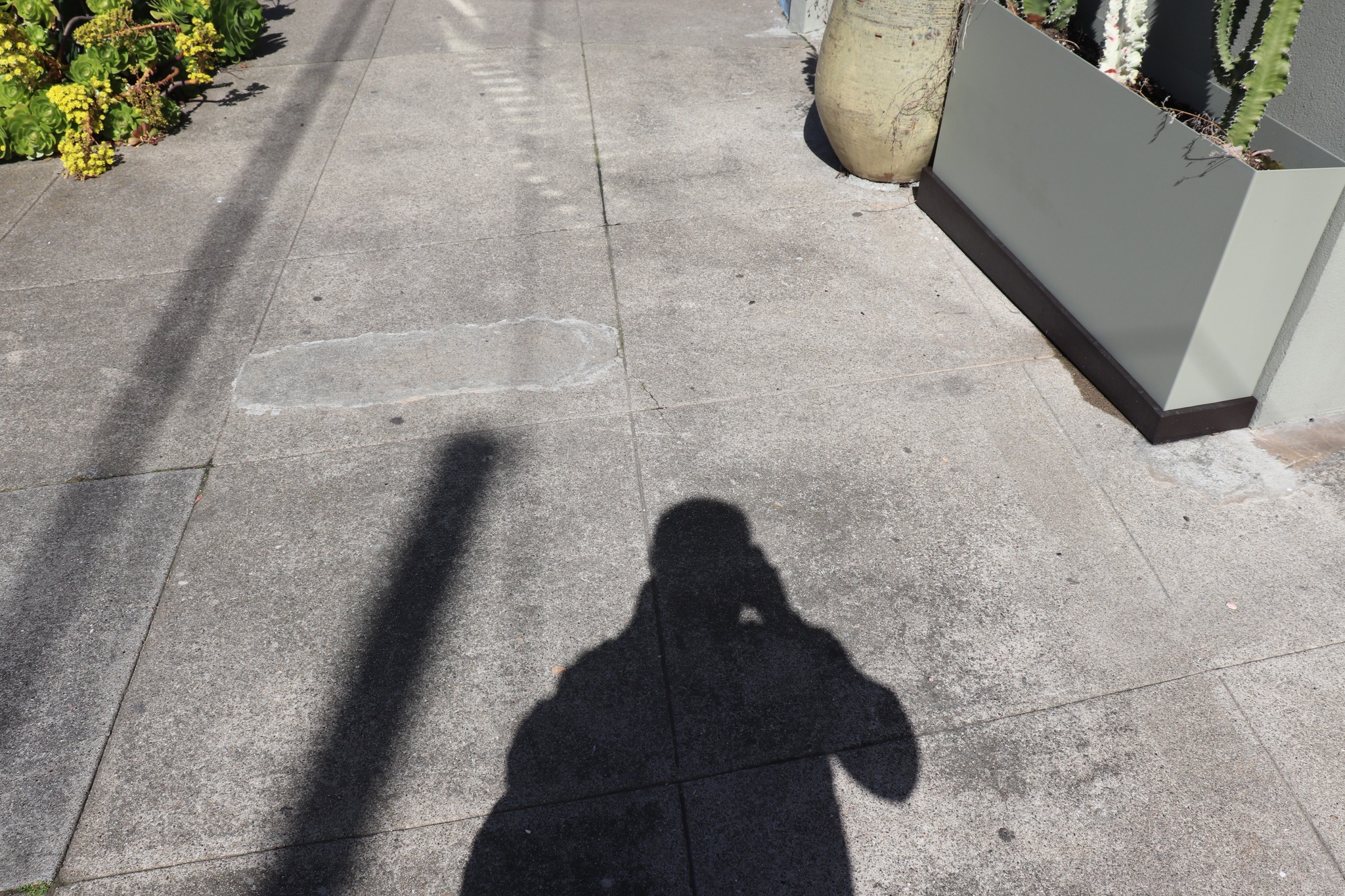 My shadow side San Francisco, March 2024 – Zonta Photos
