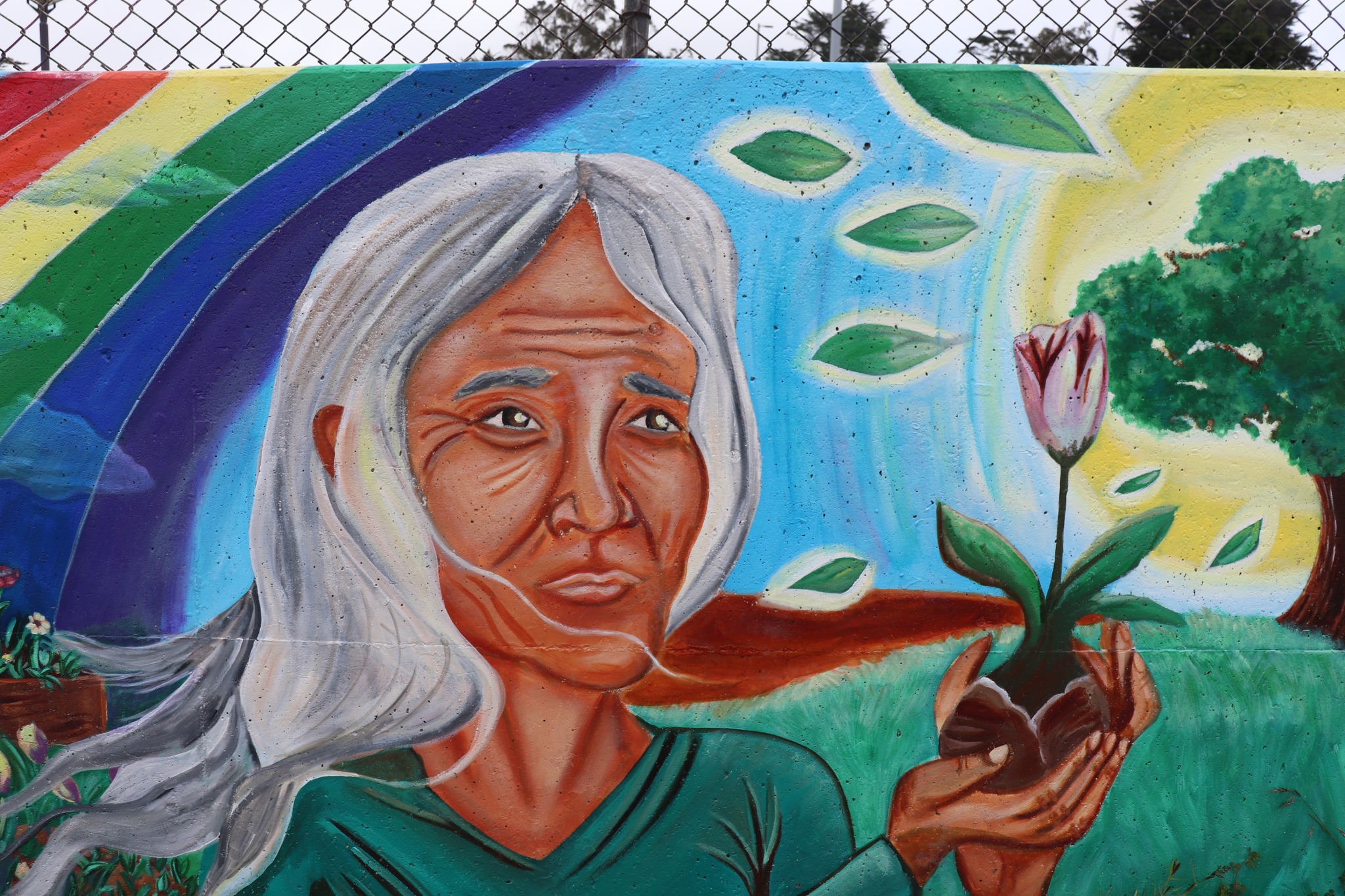 Laguna Honda mural, San Francisco, May 2024 – Zonta Photos