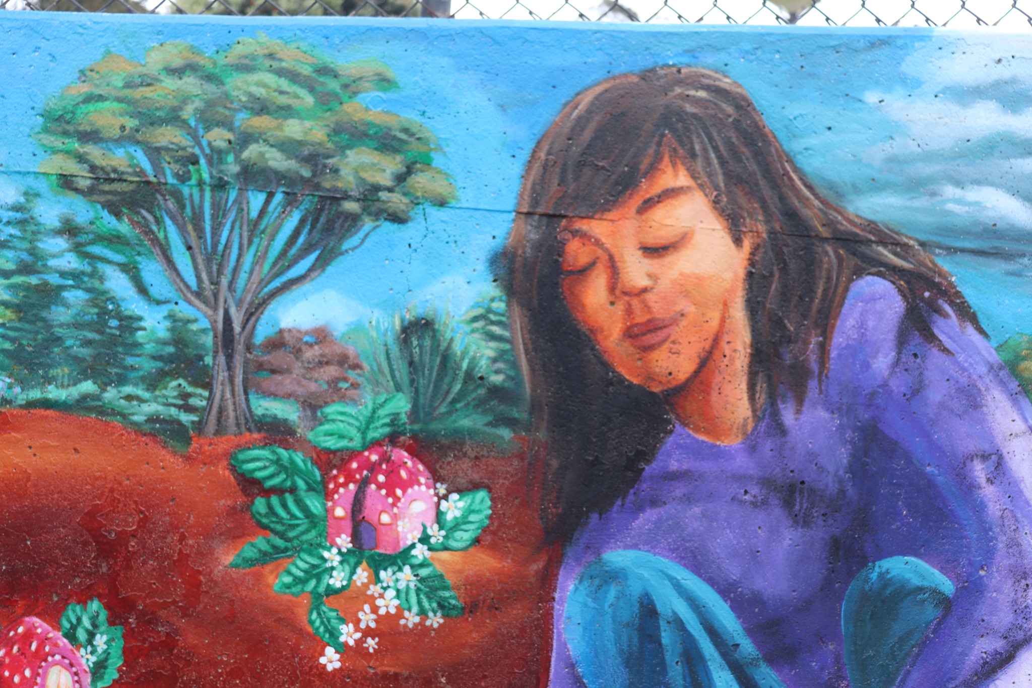 Laguna Honda mural, San Francisco, May 2024 – Zonta Photos