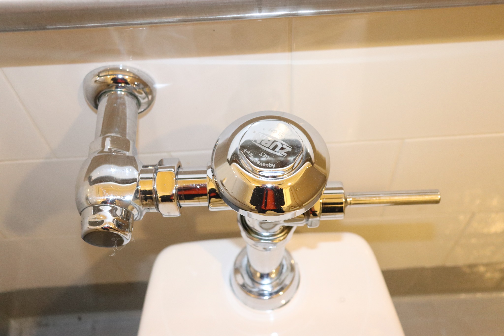 Shiny toilet, Glen Park library, San Francisco, September 2024 – Zonta ...