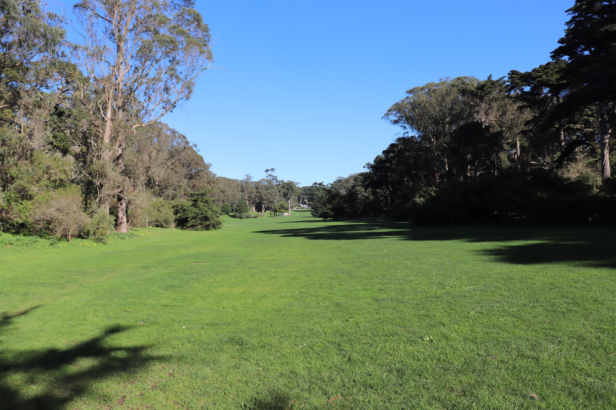 Golden Gate Park, San Francisco, February 2025 – Zonta Photos