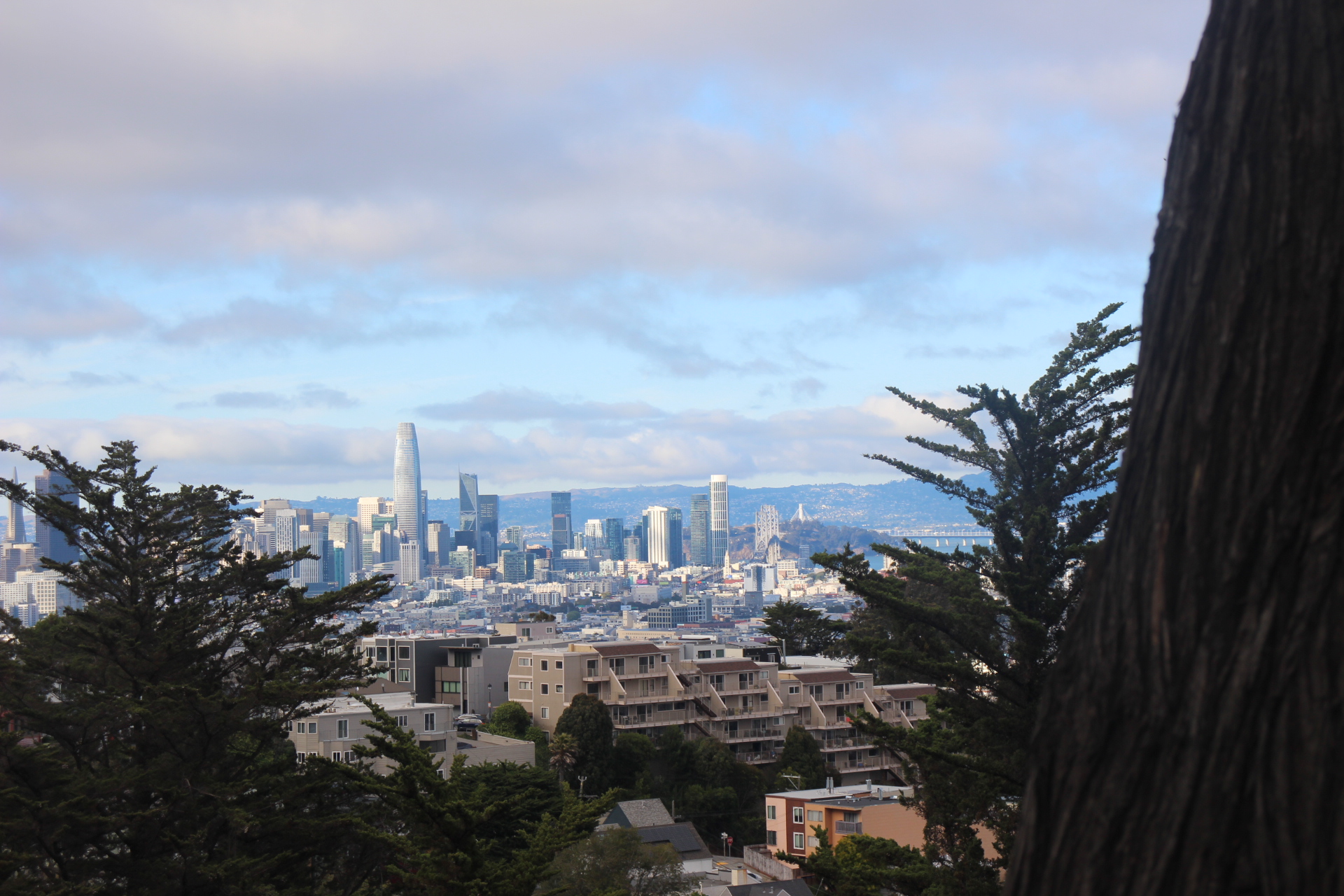 A phallic downtown San Francisco, July 2025 – Zonta Photos